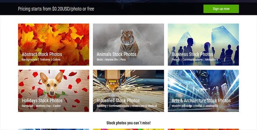 70+ Source of Royalty Free Stock Photos for Your Themes, Website and ...