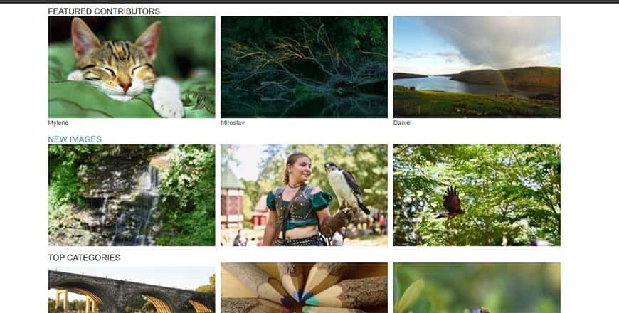 70+ Source of Royalty Free Stock Photos for Your Themes, Website and ...