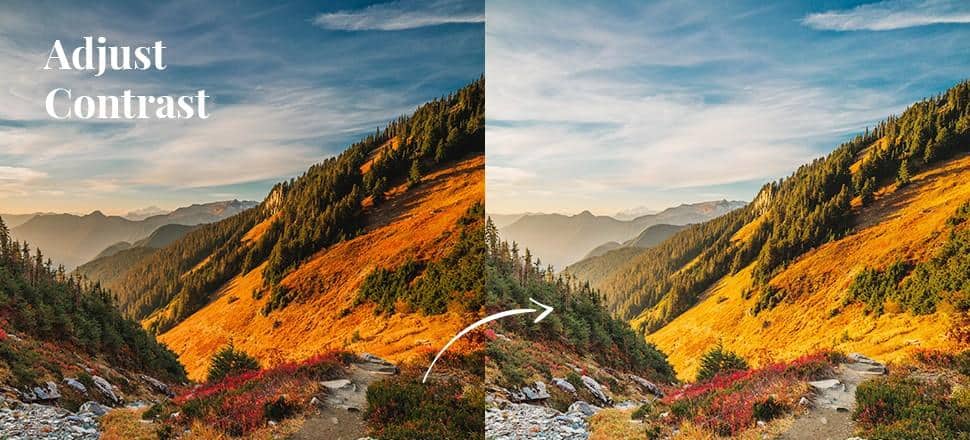 Beginners Guide to Learn Photo Editing Online from Home - ThemeXpert