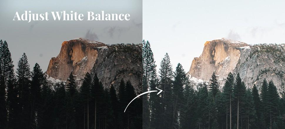 Beginners Guide to Learn Photo Editing Online from Home - ThemeXpert